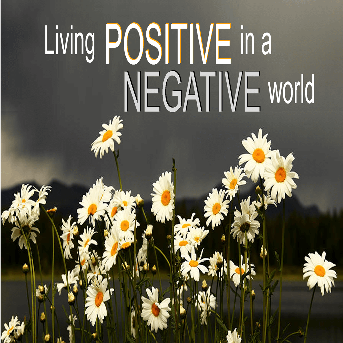 Living Positive In A Negative World - GracePoint Valdosta